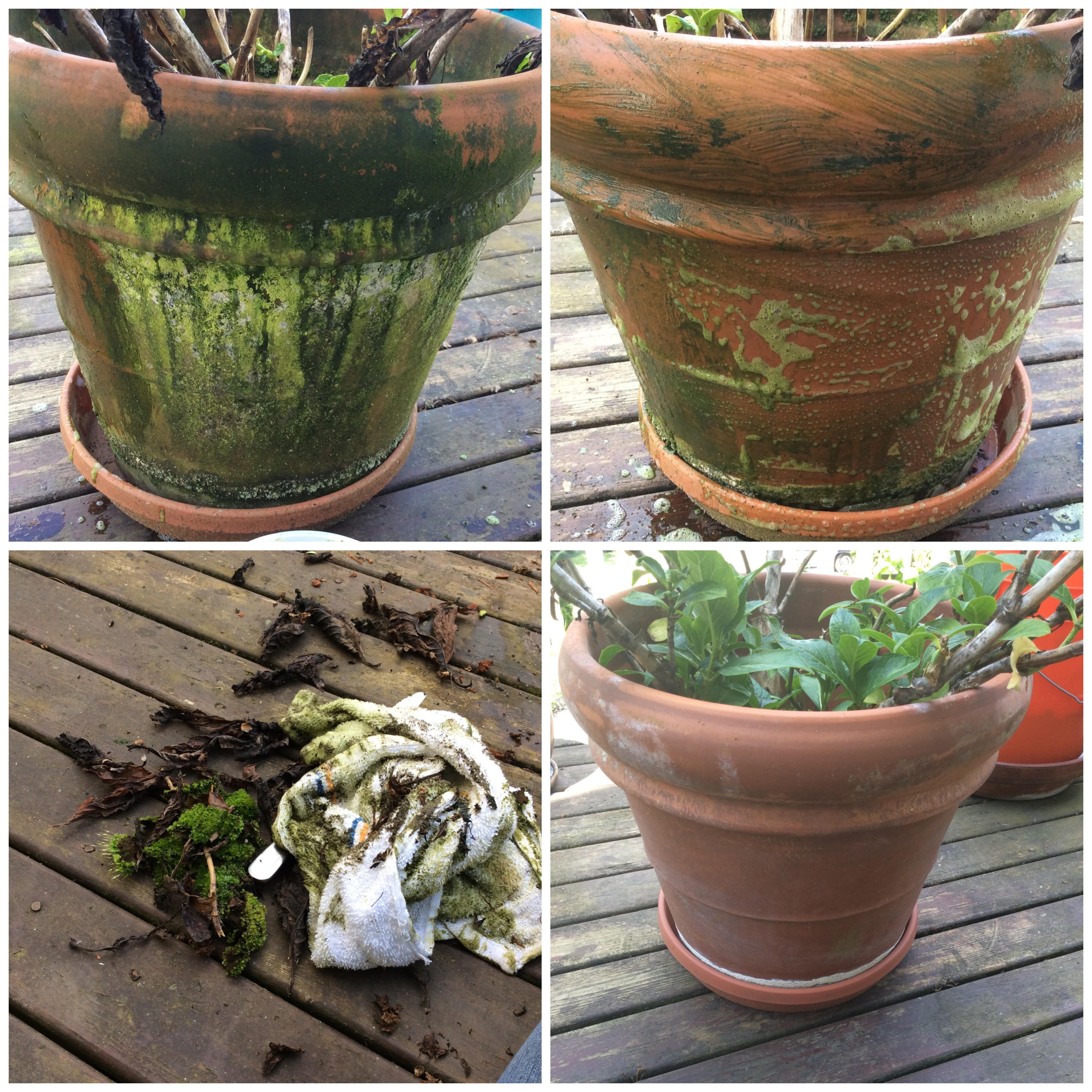 Anatomy of a Pot | Real Life of an MSW